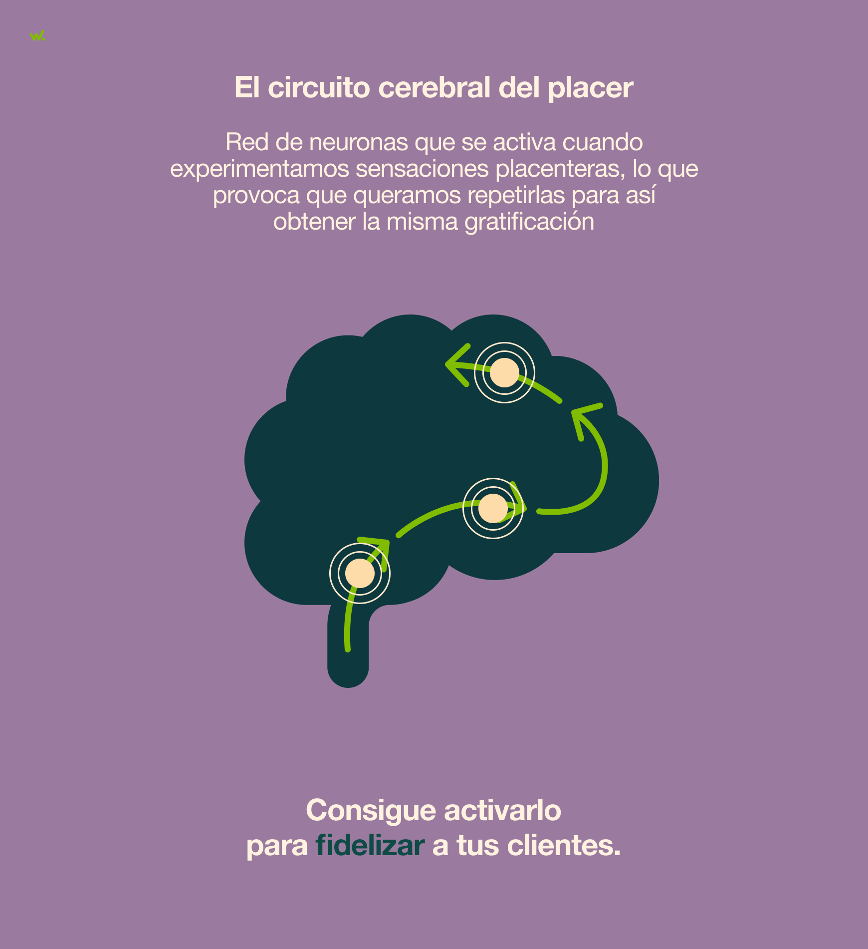 El circuito cerebral del placer: la clave para fidelizar a tus clientes ...